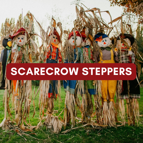 Scarecrow Steppers Step Challenge